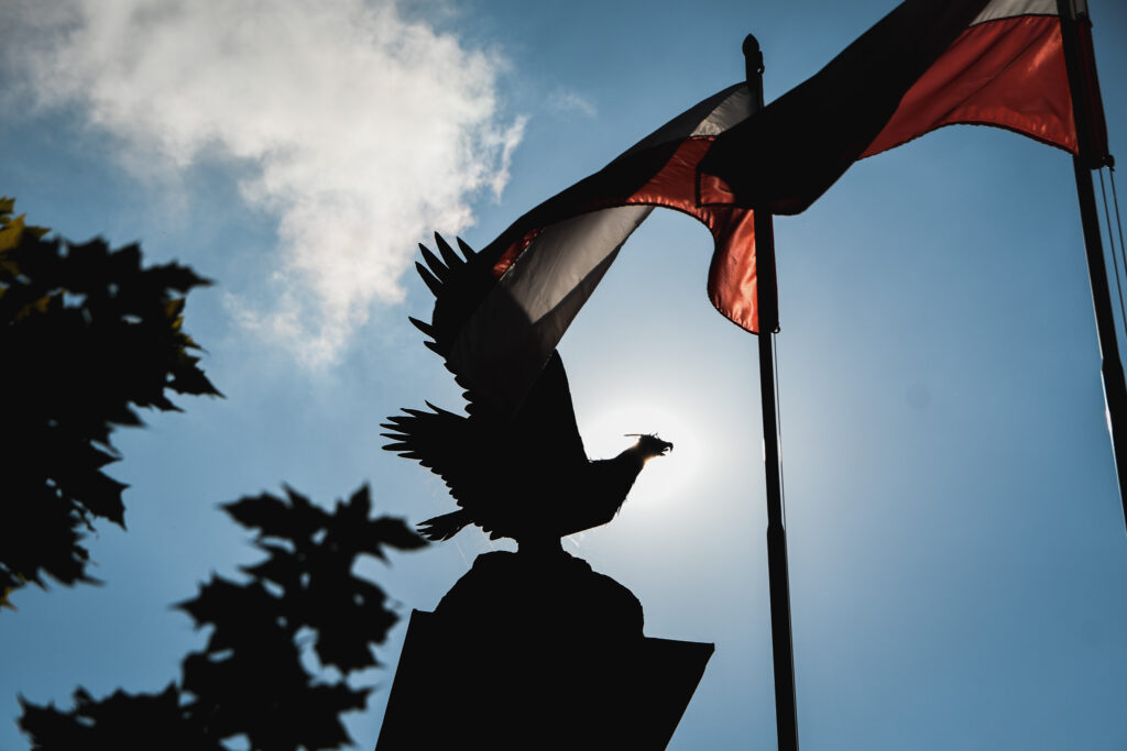 235. rocznica uchwalenia Konstytucji 3 Maja • Kraj i świat • Polskie ...